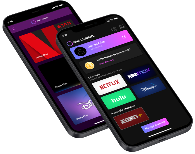 Your All-in-One Subscription Solution - One Channel