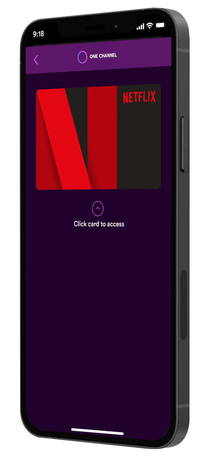 How to Share Netflix Account without Giving Password - One Channel